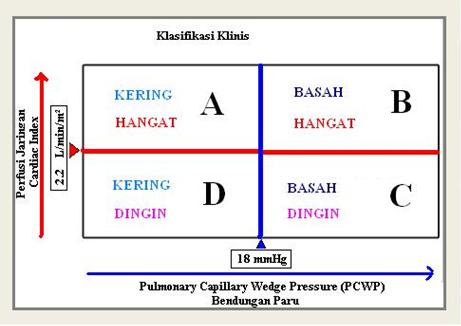 Gagal Jantung (Heart Failure) ~ Informasi Kedokteran Dan Kesehatan