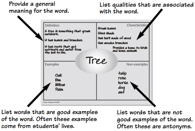 Diagram Freyer, Pengertian, Contoh dan Kegunaan Bagi Guru - Candra Junie