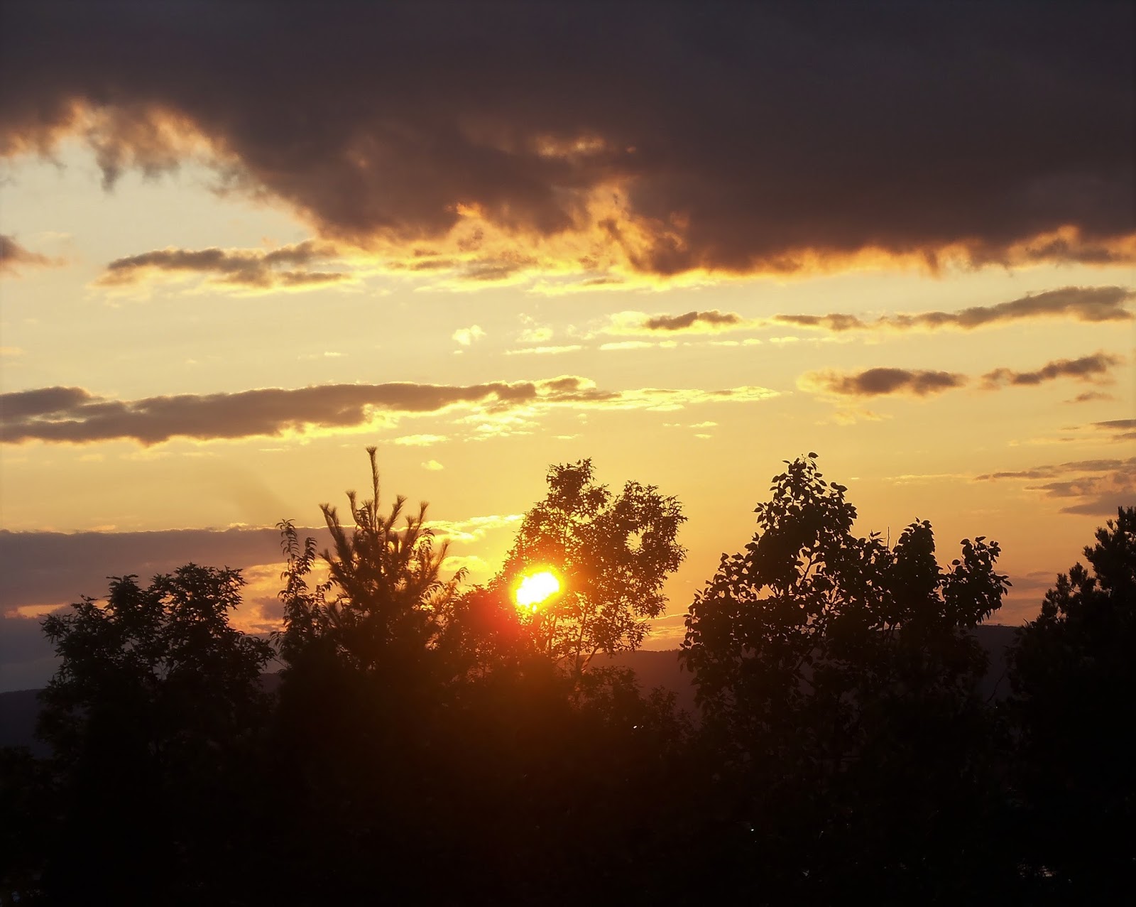 DEBBIE-DABBLE BLOG: Early Fall Garden Update and a Sunset