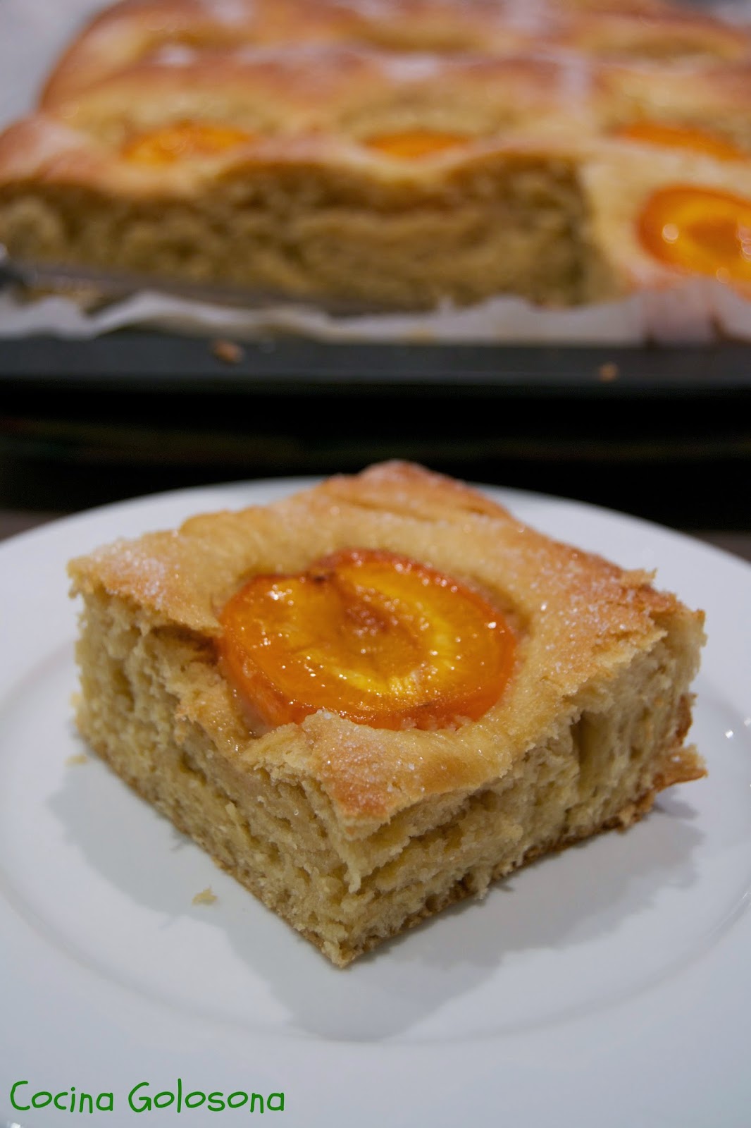 COCINA GOLOSONA: COCA DE PATATA CON ALBARICOQUES