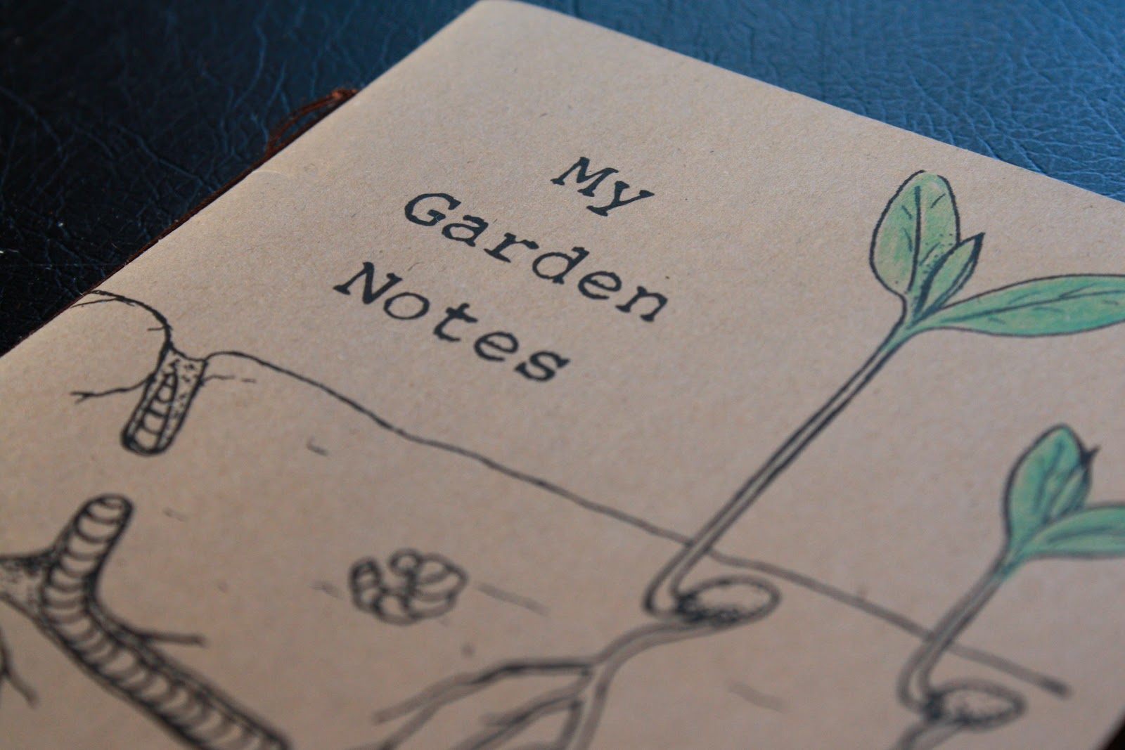 Simple Things Notebook: Starting Seeds...