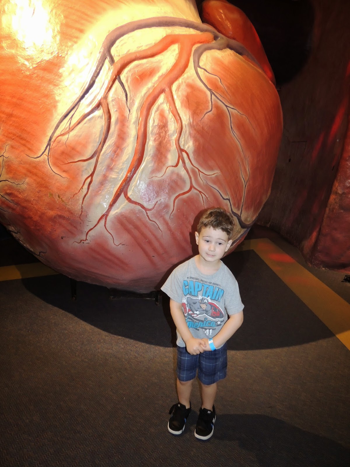 kl's adventures in washington: Spooky body parts museum and other ...