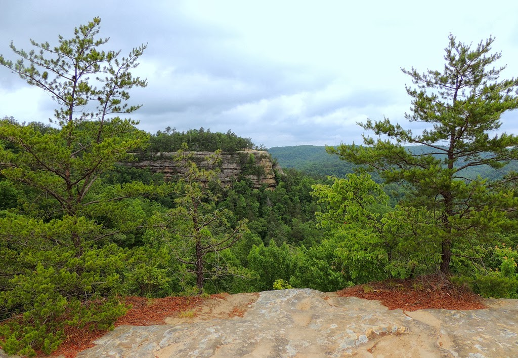Birding Is Fun!: Birding the Red River Gorge (Kentucky)