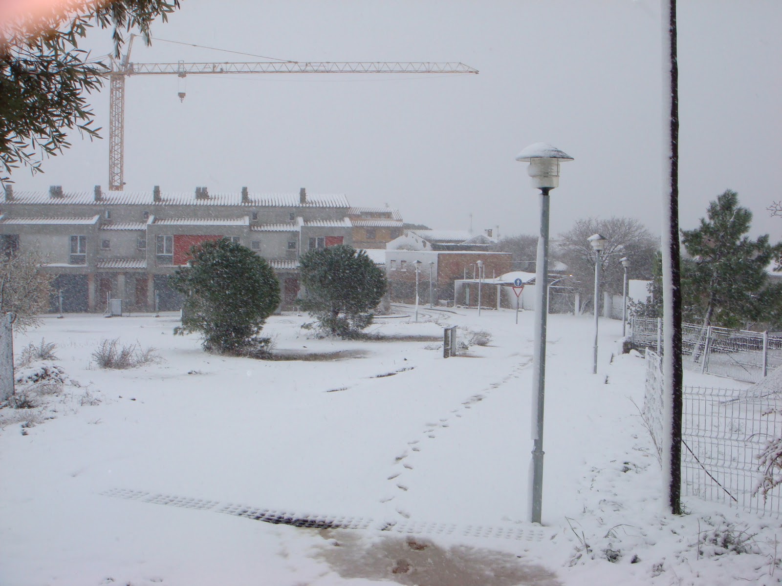 Que! paisajes!: Nevando