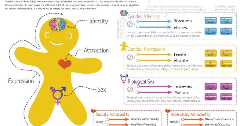 NAEYC Annual Conference 2016: "Is he a girl?": Gender development and ...