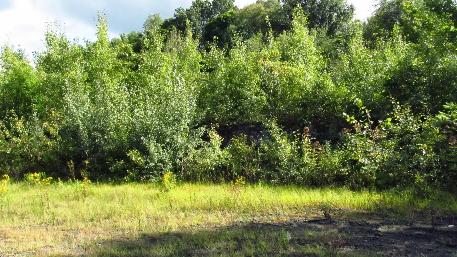 Old Industry of Southwestern Pennsylvania : Sewickley Branch Of The ...