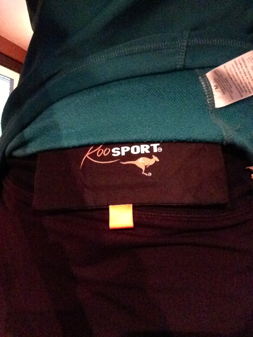 Why I Run: Roo Sport (The Perfect Runner's Pocket) Review and Giveaway