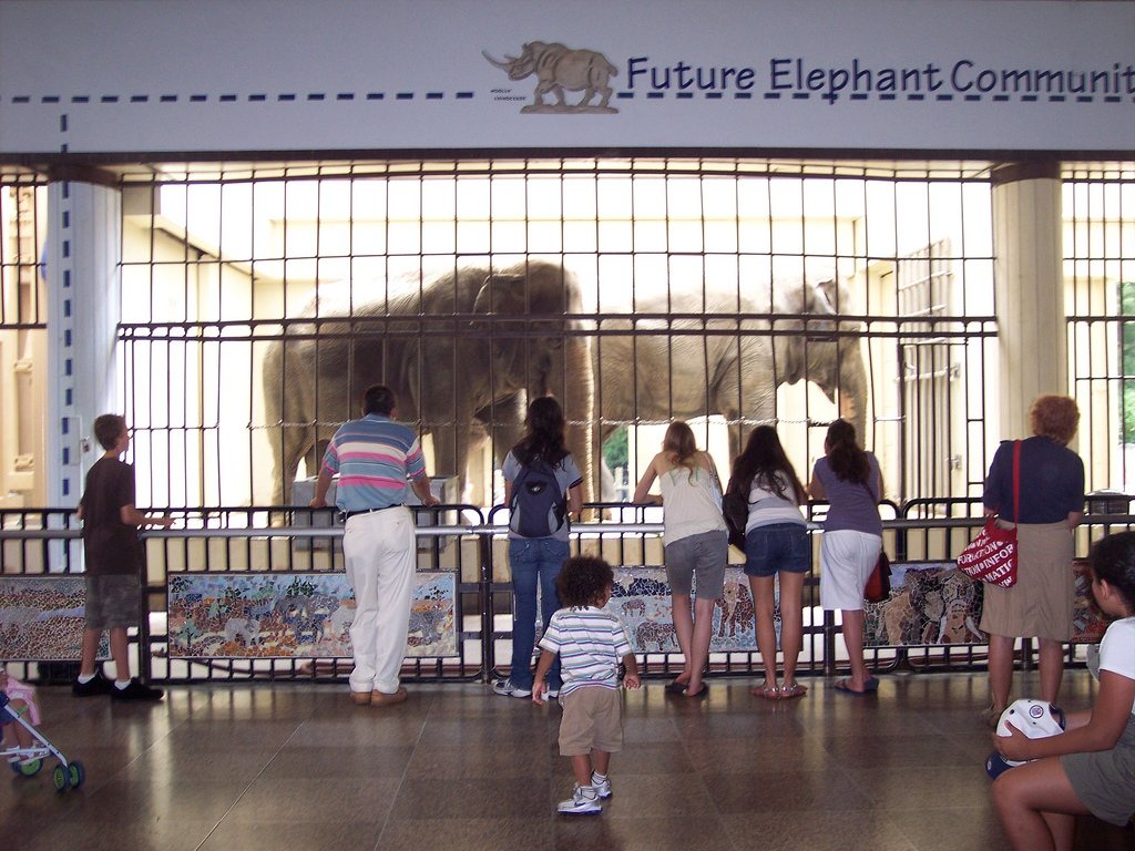 The Circus "NO SPIN ZONE": National Zoo Pachyderm/Elephant House--2008