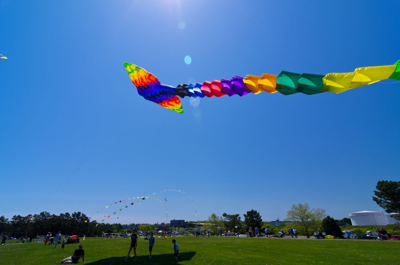 photo quest: Bug Light Kite Festival 2012