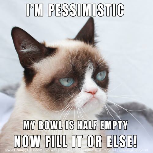 Speak of the Devil: A Day In The Life Of A Cat