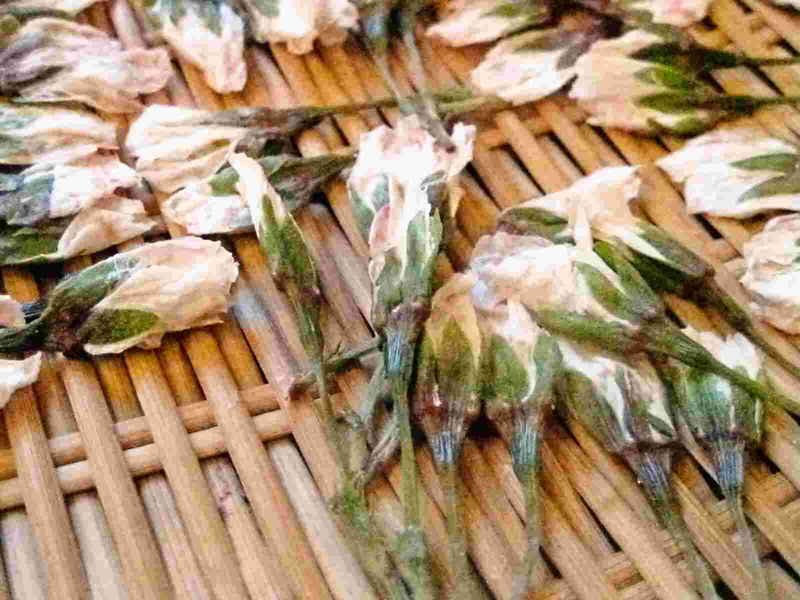 Recipes for Tom: Sakura no hana no shiozuke / salted cherry blossoms