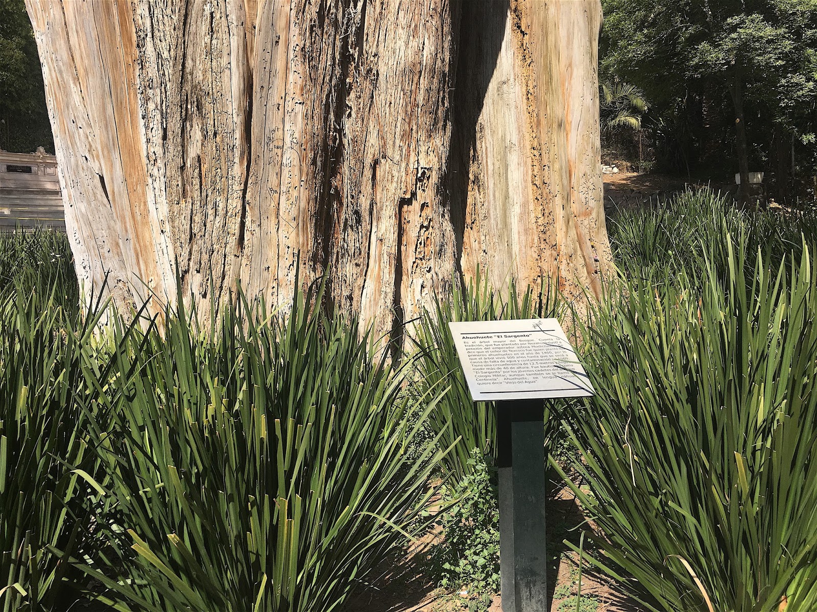 Prairie-Lakes Journeys from a Two Spirited View: Walking and connecting ...