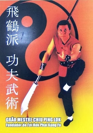 KUNG FU & TAI CHI CHUAN - IRELAND: Background