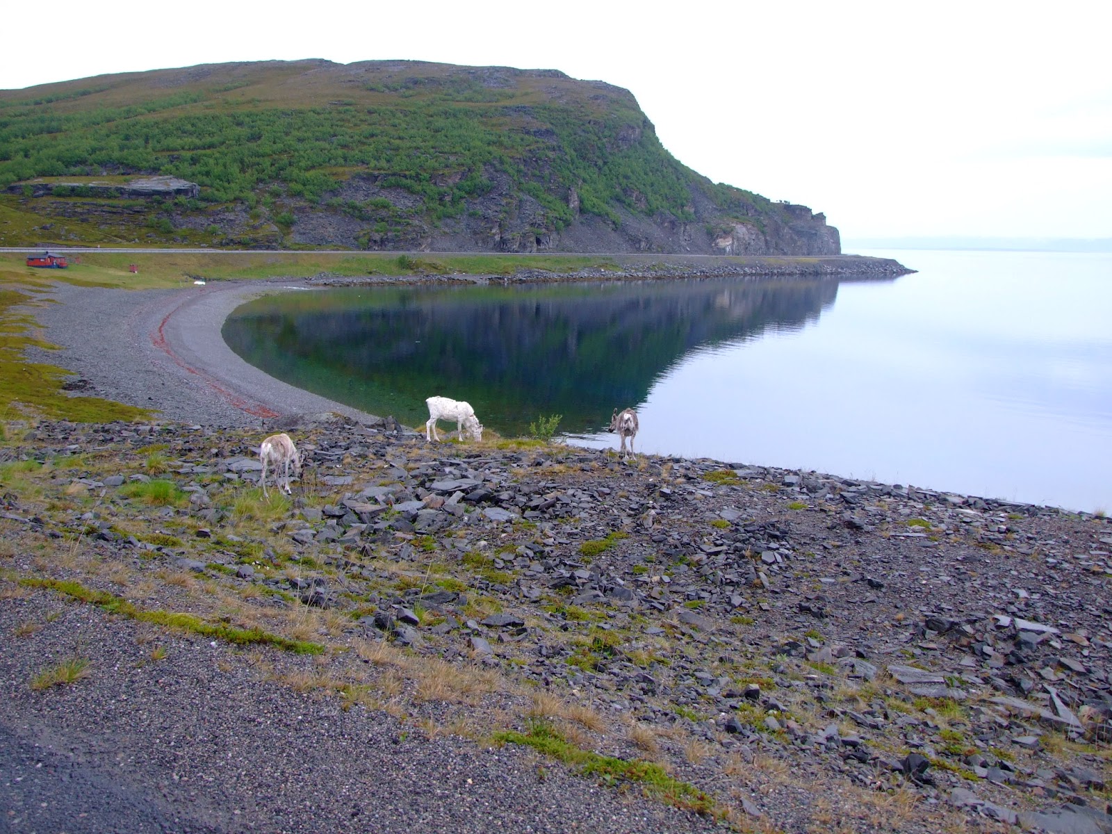 calatorului ii sade bine cu drumul: Nordul Scandinaviei-Capul Nord