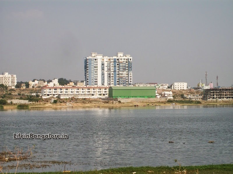 LifeinBLR - Life in Bangalore: Begur Lake Bangalore Photo Album
