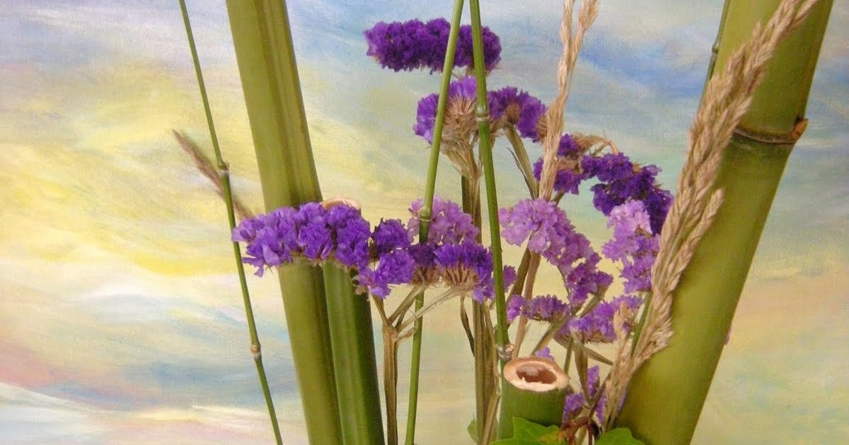 Flores Naturales: Bambú