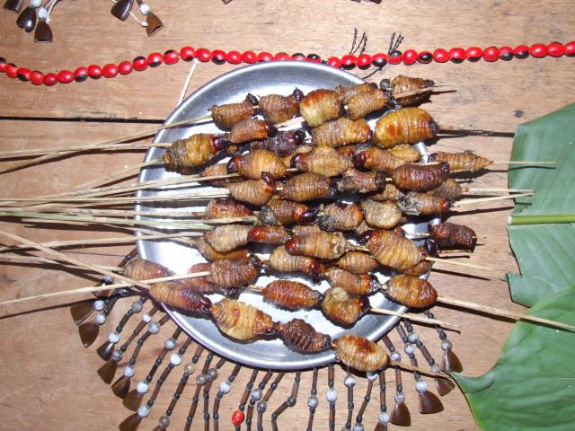 Kathy & Mike: Chontacuro