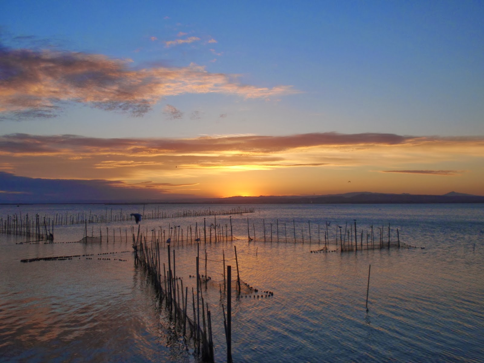 Viaje Interminable: Albufera de Valencia