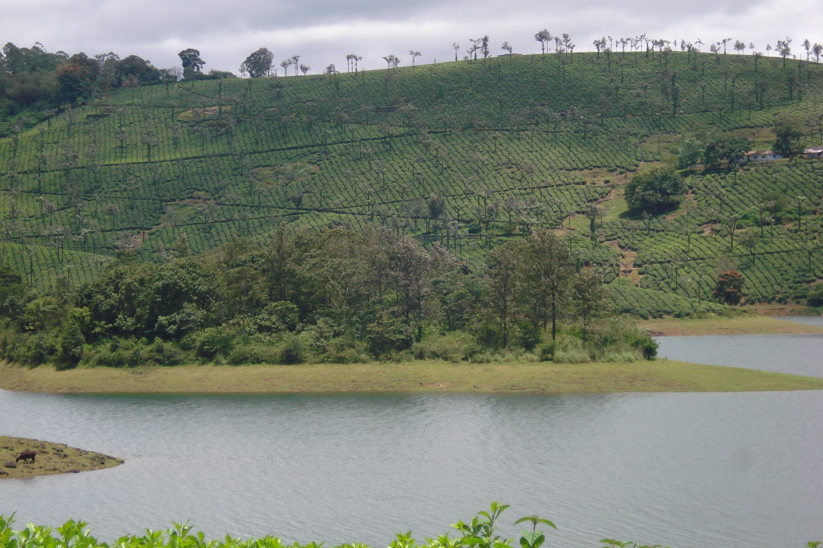 bijualapatt: Valpara Photos