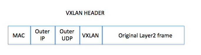 The Network Arborist: VXLAN for Layer 2 stretch over L3 network