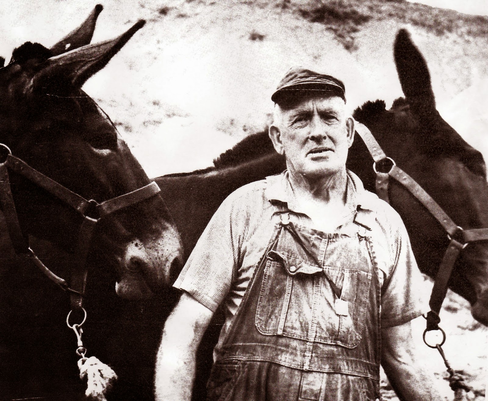 The Edward Coffey Project: Edmond Jackson "Eddie" & Lula Belle Andrews ...