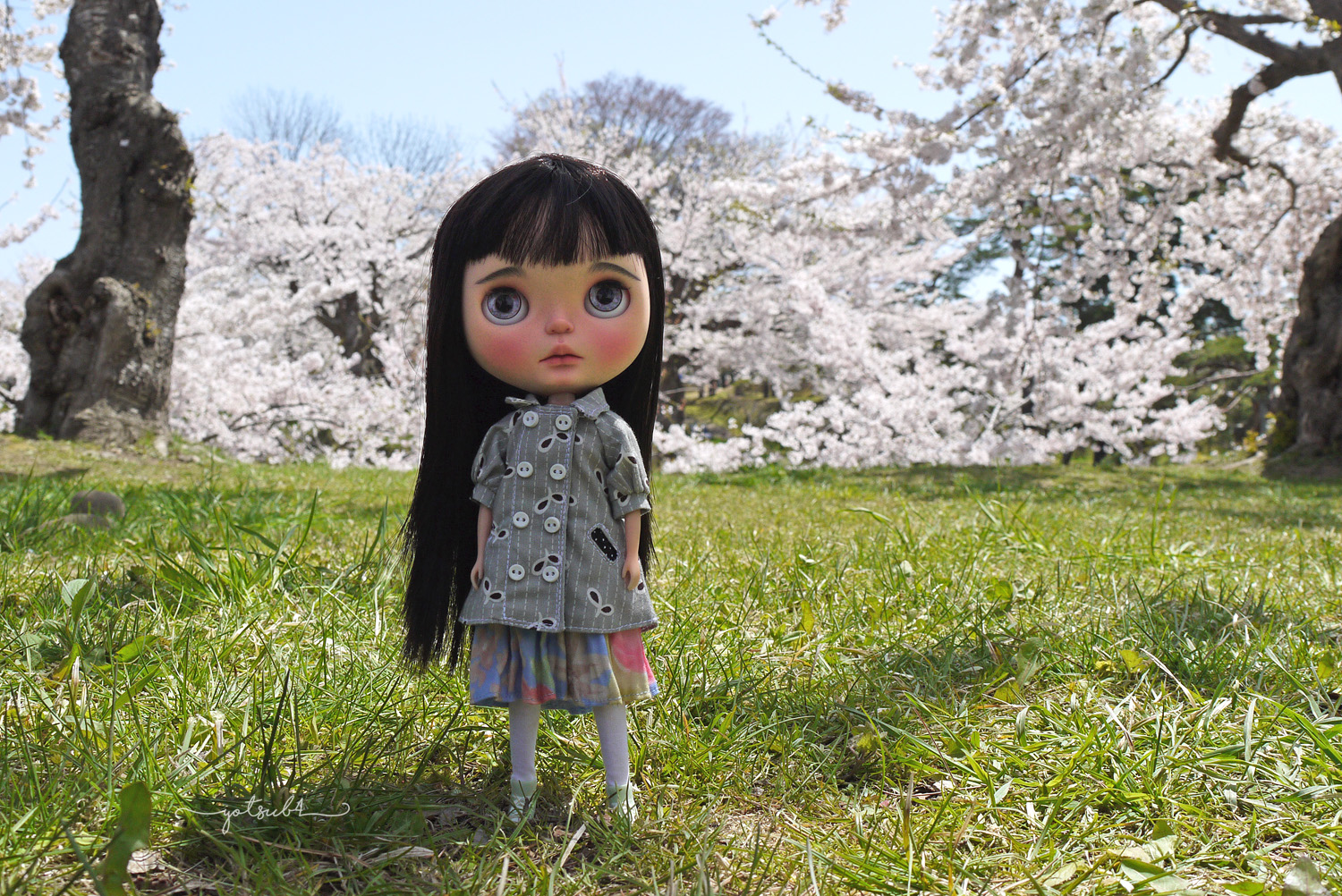 Japan with Cleo #6/10 - Hakodate: Seafood, Melons, Sakura, a Fort