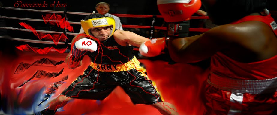Conociendo el Boxeo