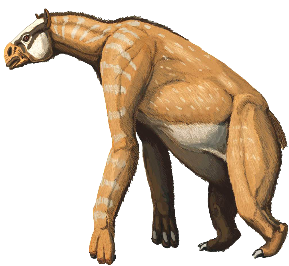 Variety of Life: July 2018