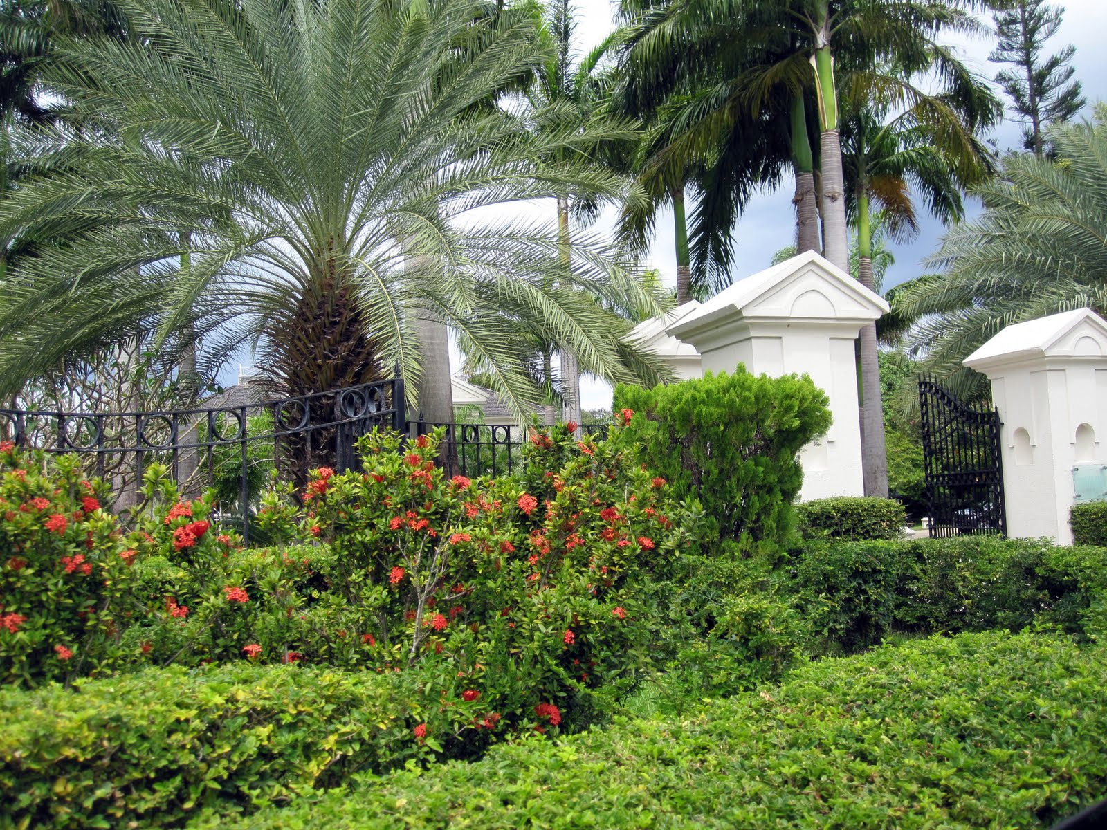 Jim and Kim's Travels: Hanging with Mr. Springer in Bridgetown ...