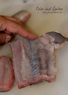 Color and Spices: Chitol macher muthiya..