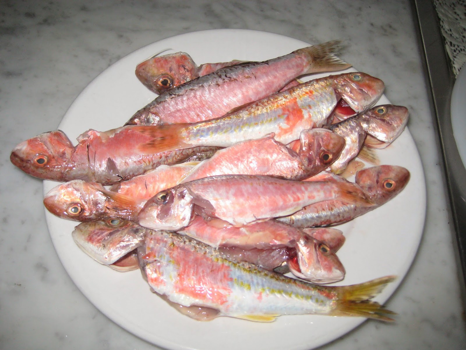 El rincón de Mundín: EL SALMONETE: CARACTERÍSTICAS