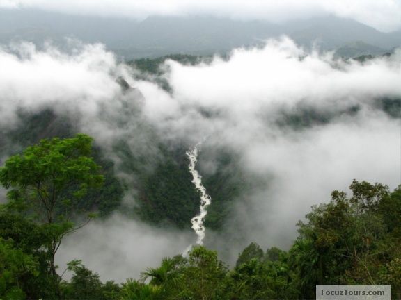 Best Time To Visit Wayanad