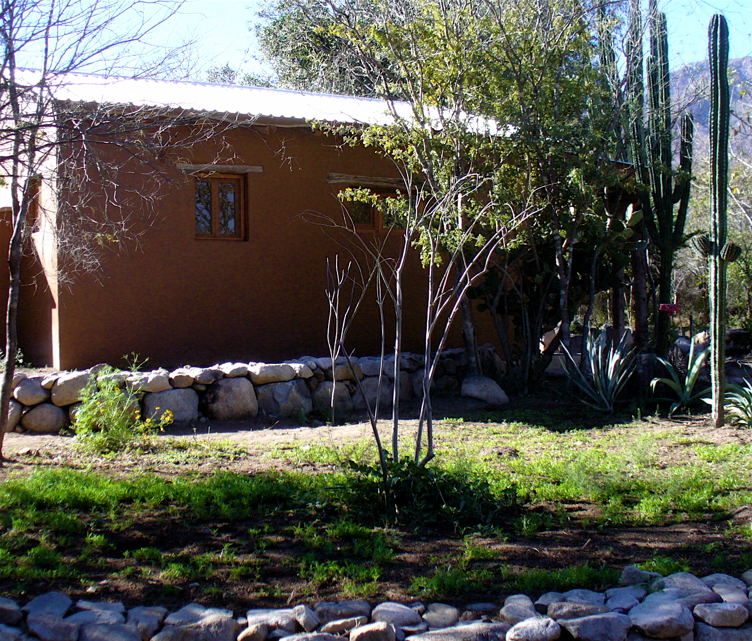 Alt. Build Blog: El Pedregal In Alamos, Sonora-Adobe Casitas