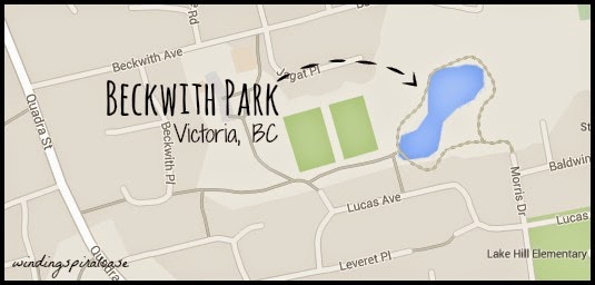 Winding Spiral Case: A Walk In Beckwith Park, Victoria