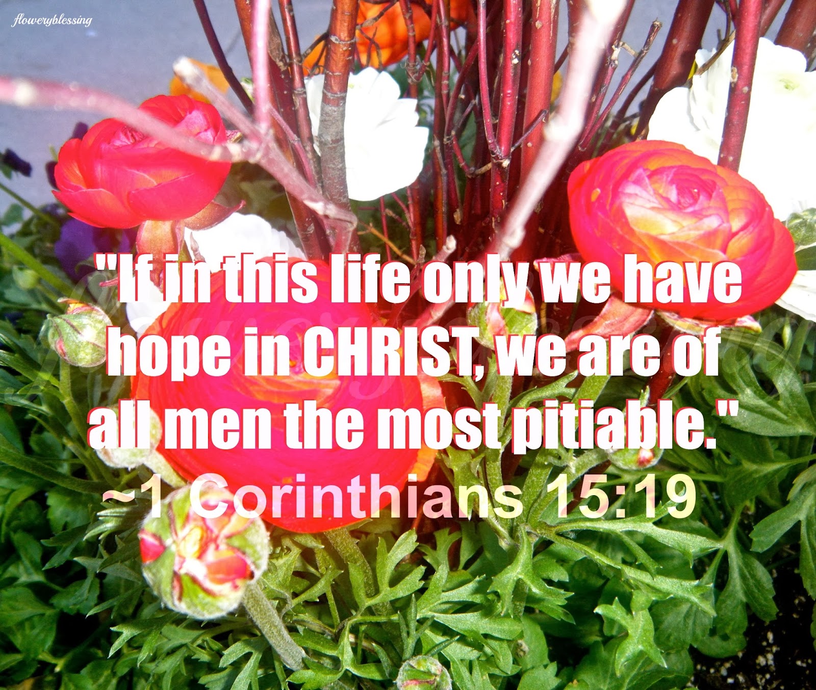 Flowery Blessing: "If in this life only we have hope in CHRIST, we are ...