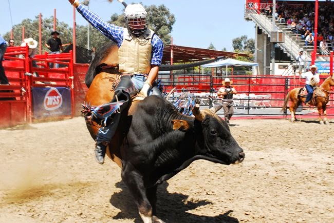 Deportes extremos : Monta de toros