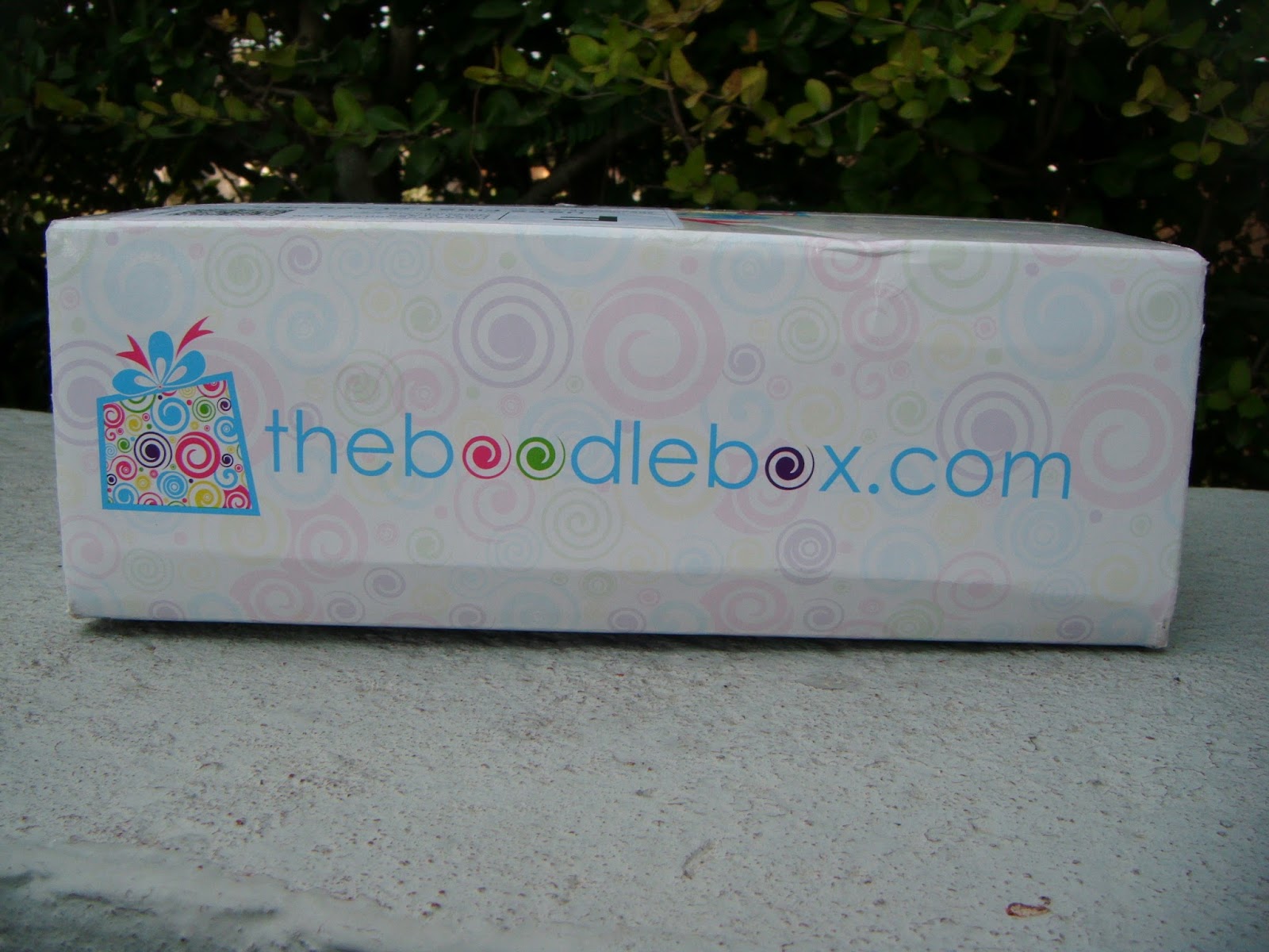 The ABCD Diaries: The Boodle Box: Awesome Subscription Box Service for ...