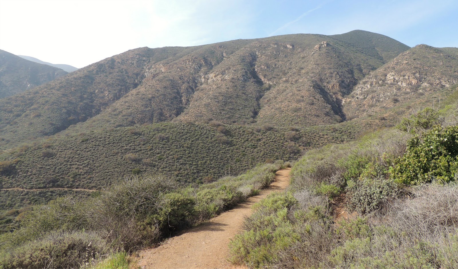 1000 Hikes in 1000 Days: Day 854: Ray Miller Trail - First Leg of the ...