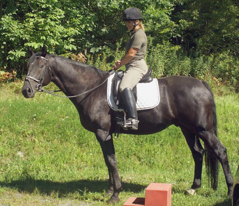 Saddle Fitting: The Inside Journey