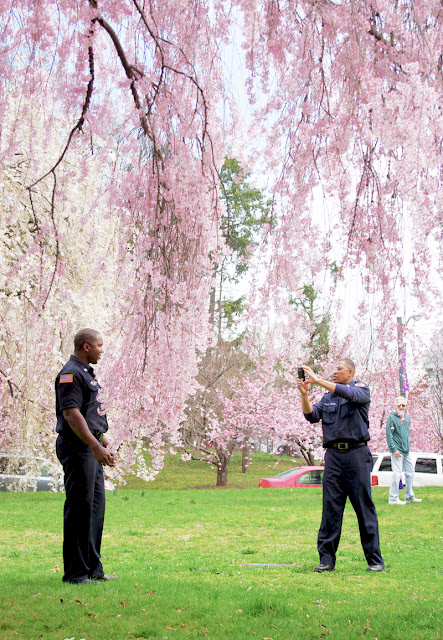 duhas blog: Spring is coming!!!