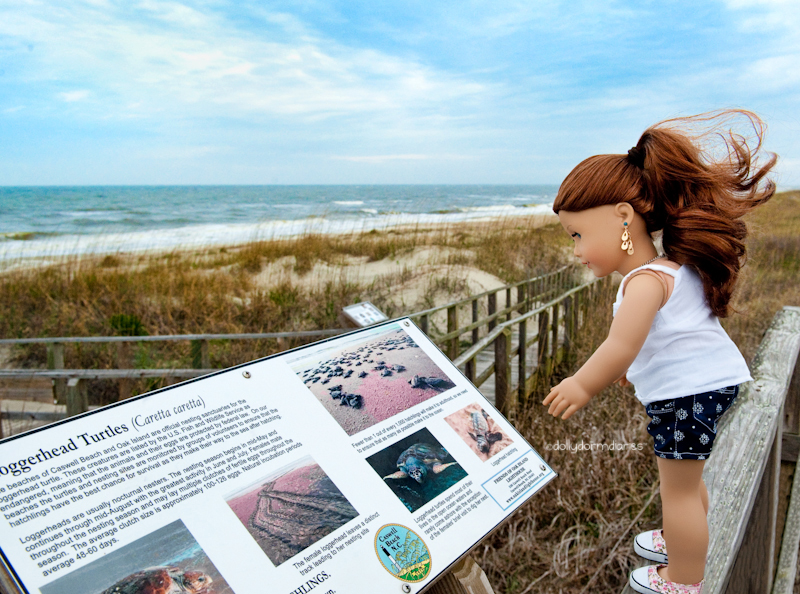 Dolly Dorm Diaries ~ American Girl Doll House Doll Diaries Blog: { A ...