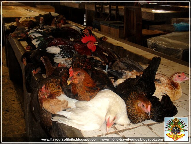 JR Rawit's native litsong manok at the Iloilo Central Market