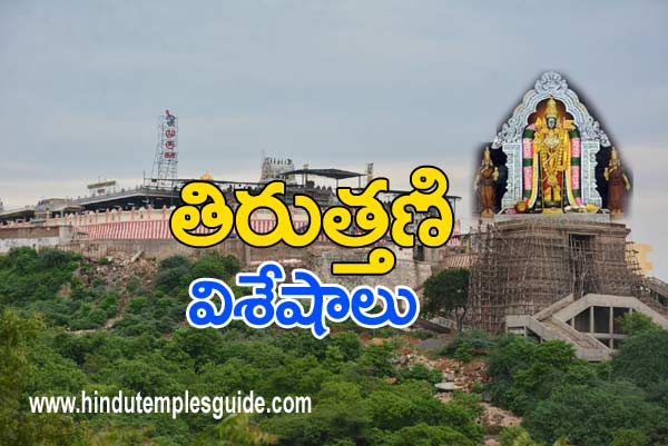 Tiruttani Murugan Temple Information Accommodation Timings History