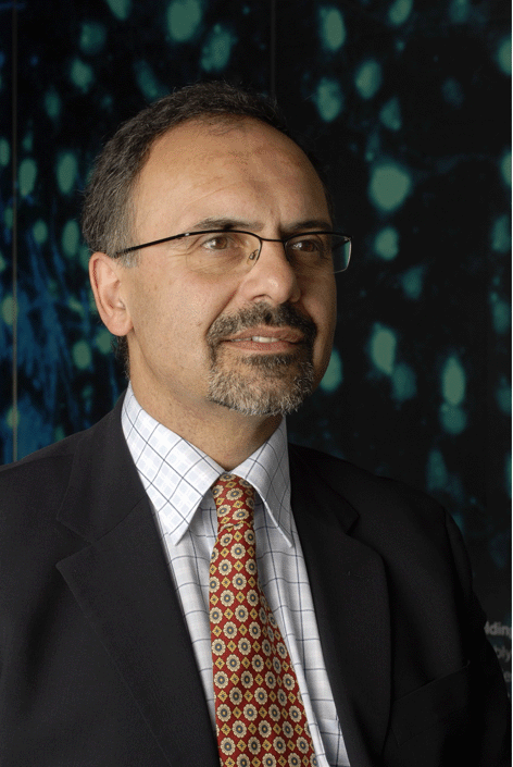 Autism Research Australasia: BioAutism 2013