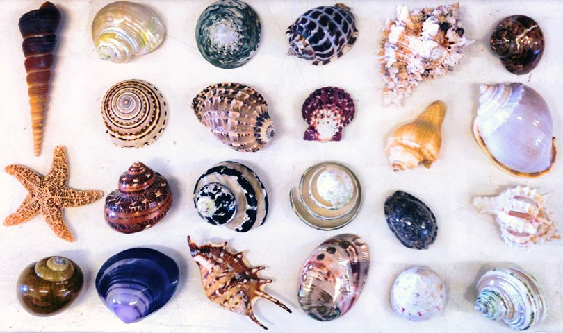 10+ Free Things To Do In Galveston, Texas