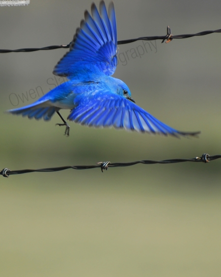 Yea i figured out evolution nbd: social awareness