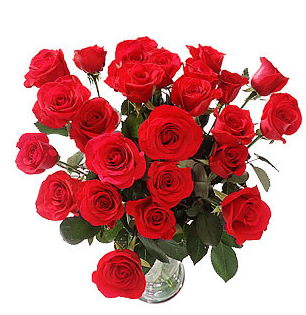 Photo Editing Material : Rose Effects (Photo Editing Material )