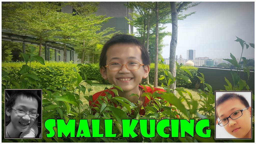 SMALL KUCING