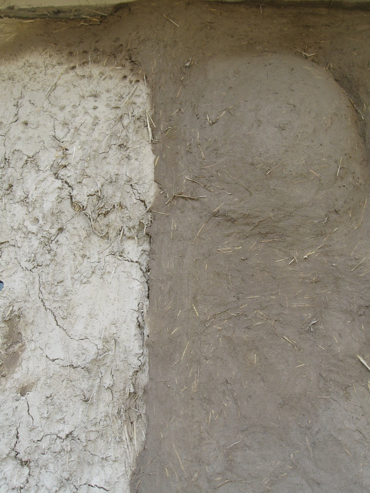 Squash Blossom Farm: Earth Plaster Stages