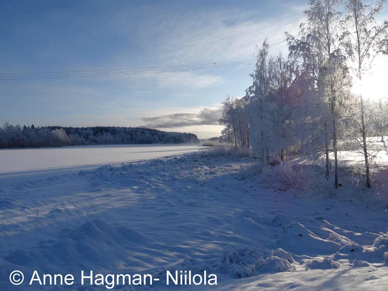 ANNEN LUONTOPÄIVÄKIRJA nature diary: TALVINEN MAISEMAKUVA winter ...